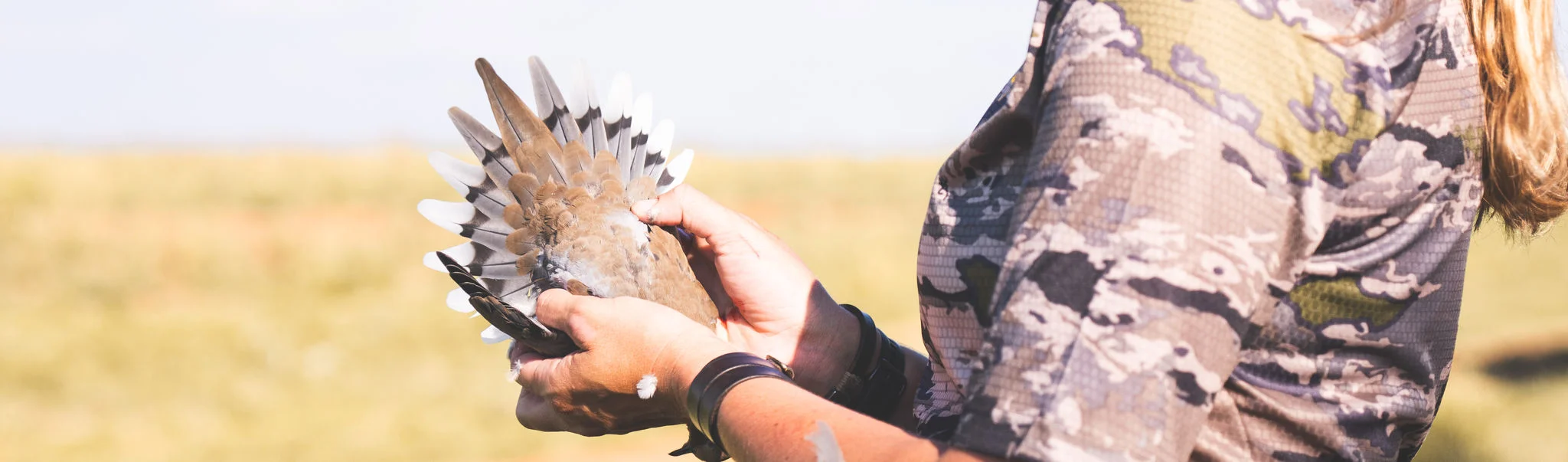 Make The Most Out Of Your Dove Opener