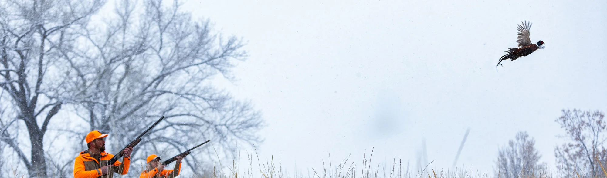 Browning’s Best Pheasant Shotguns
