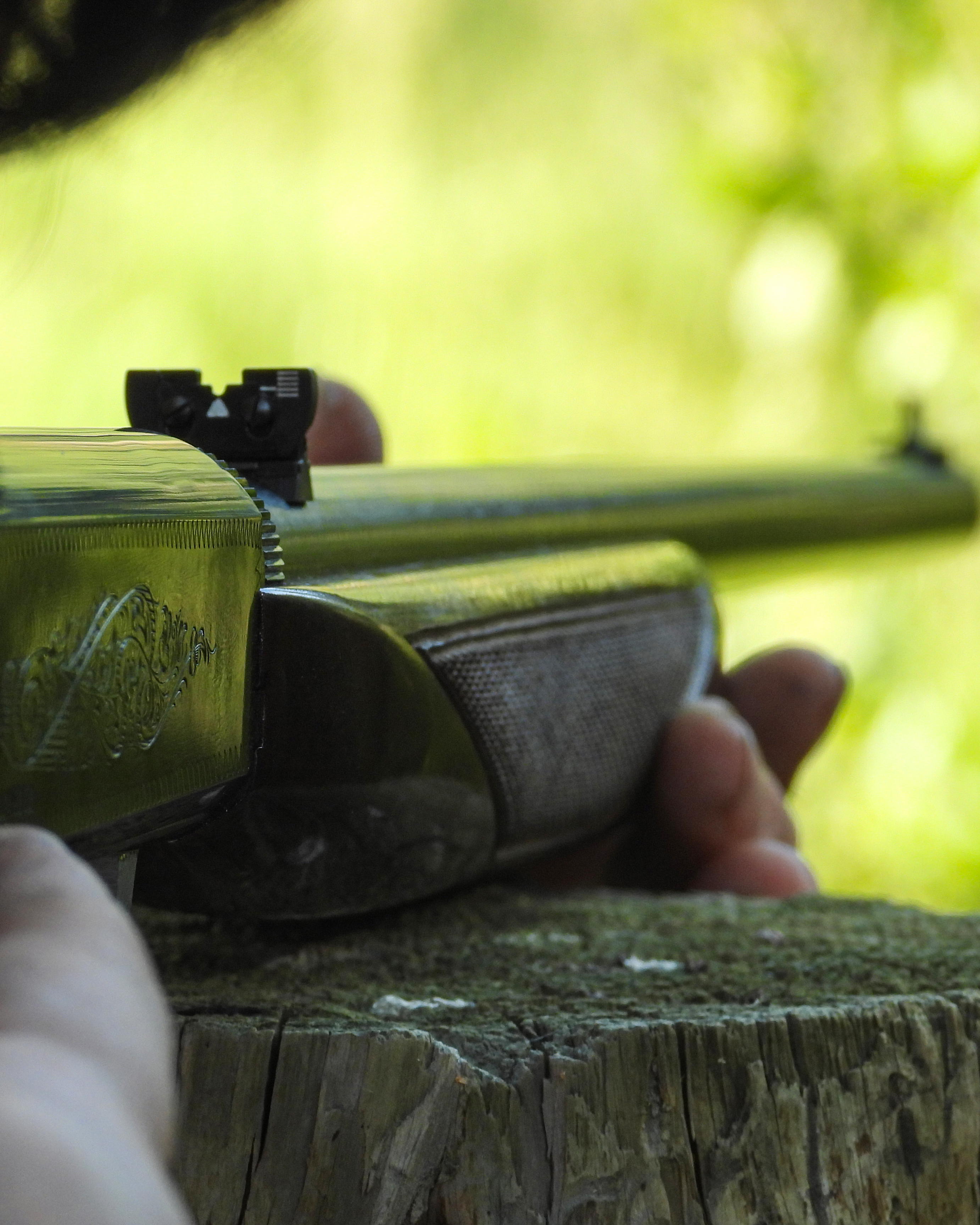 Semi-Auto 22, Grade I - Rimfire Rifle - Browning