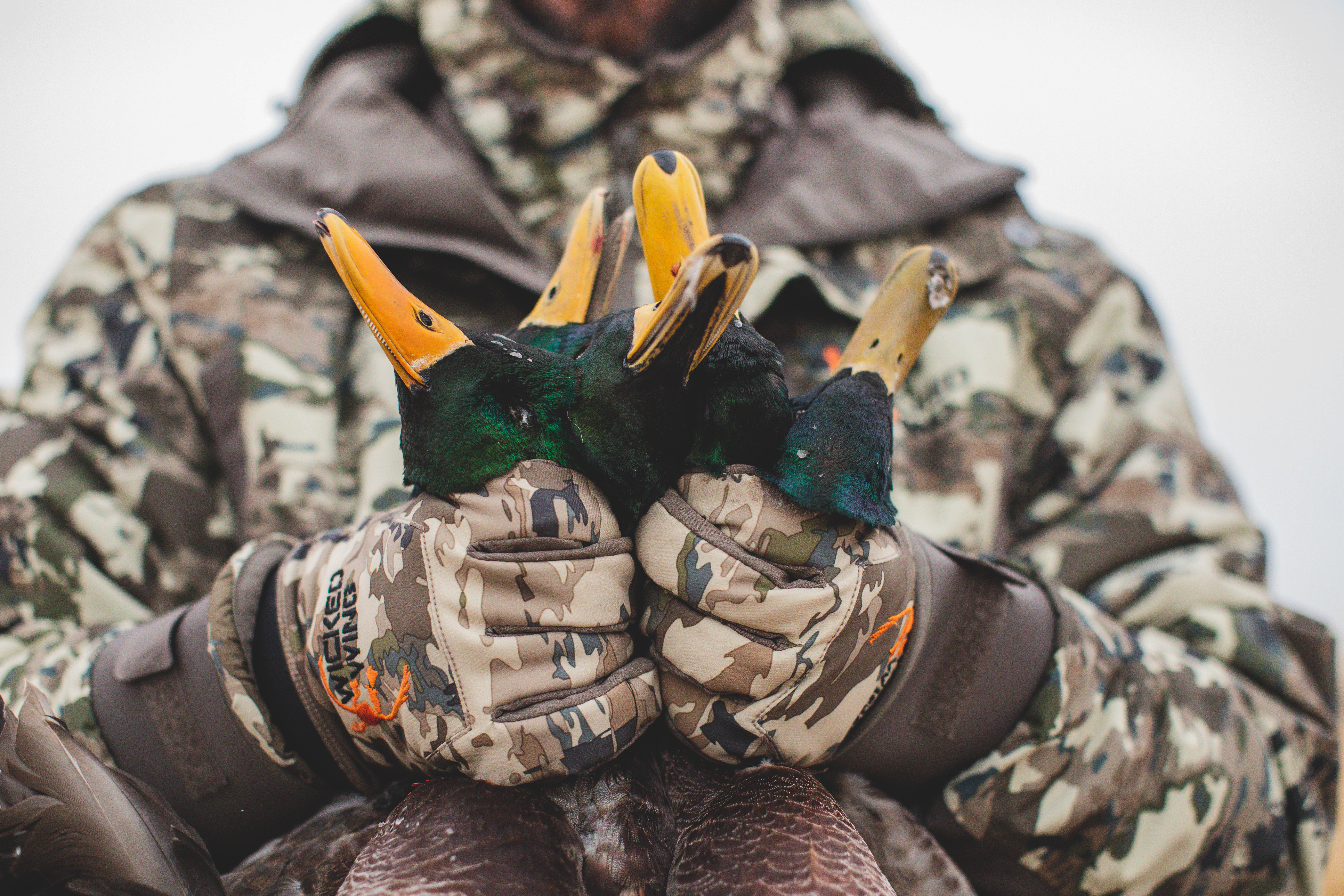 Browning Launches New-For-2023 AURIC Waterfowl Pattern