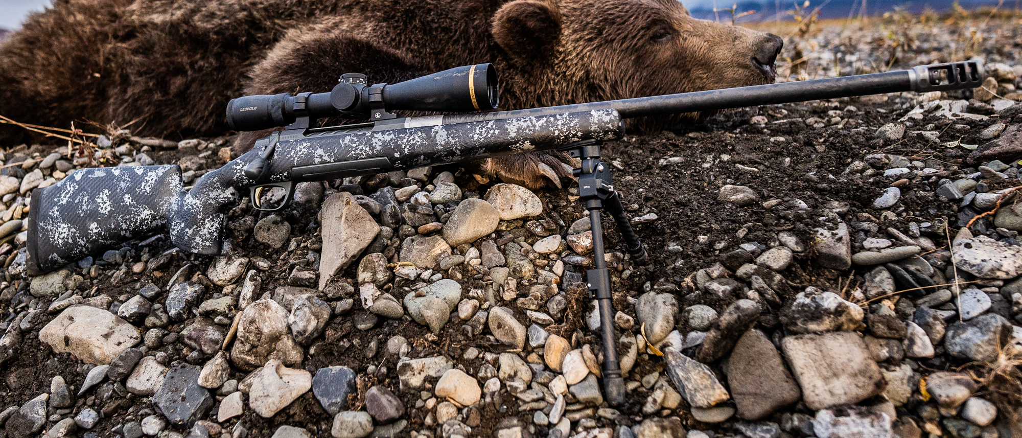 Bears of the North