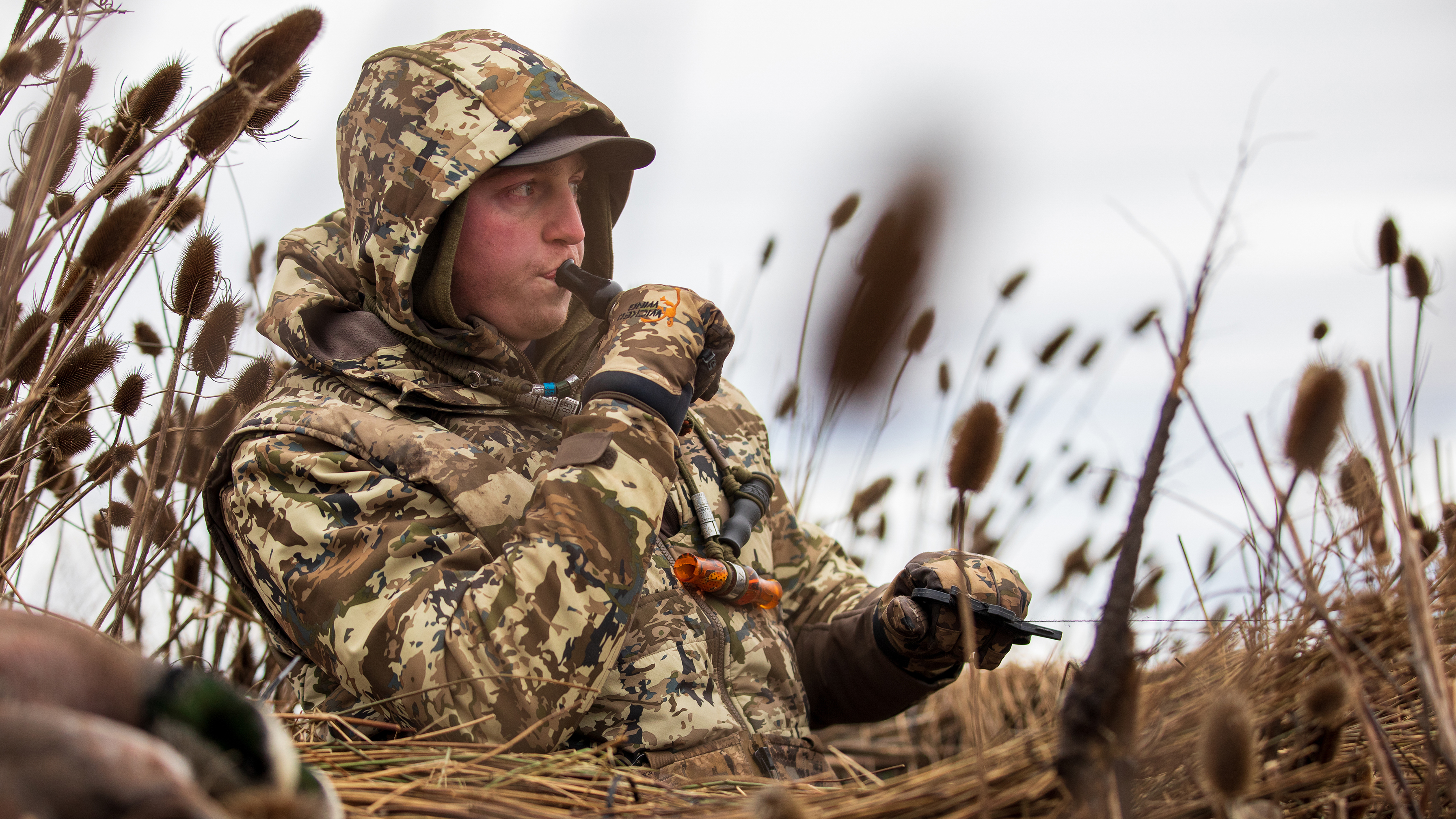 Primetime Duck Moves