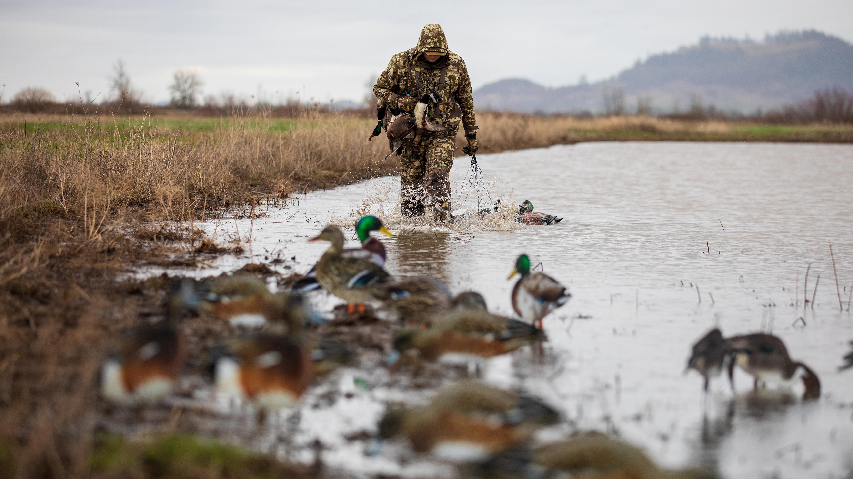 Primetime Duck Moves