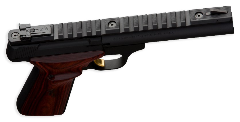 Buckmark Field Target V Hunter questions | Rimfire Central Firearm Forum