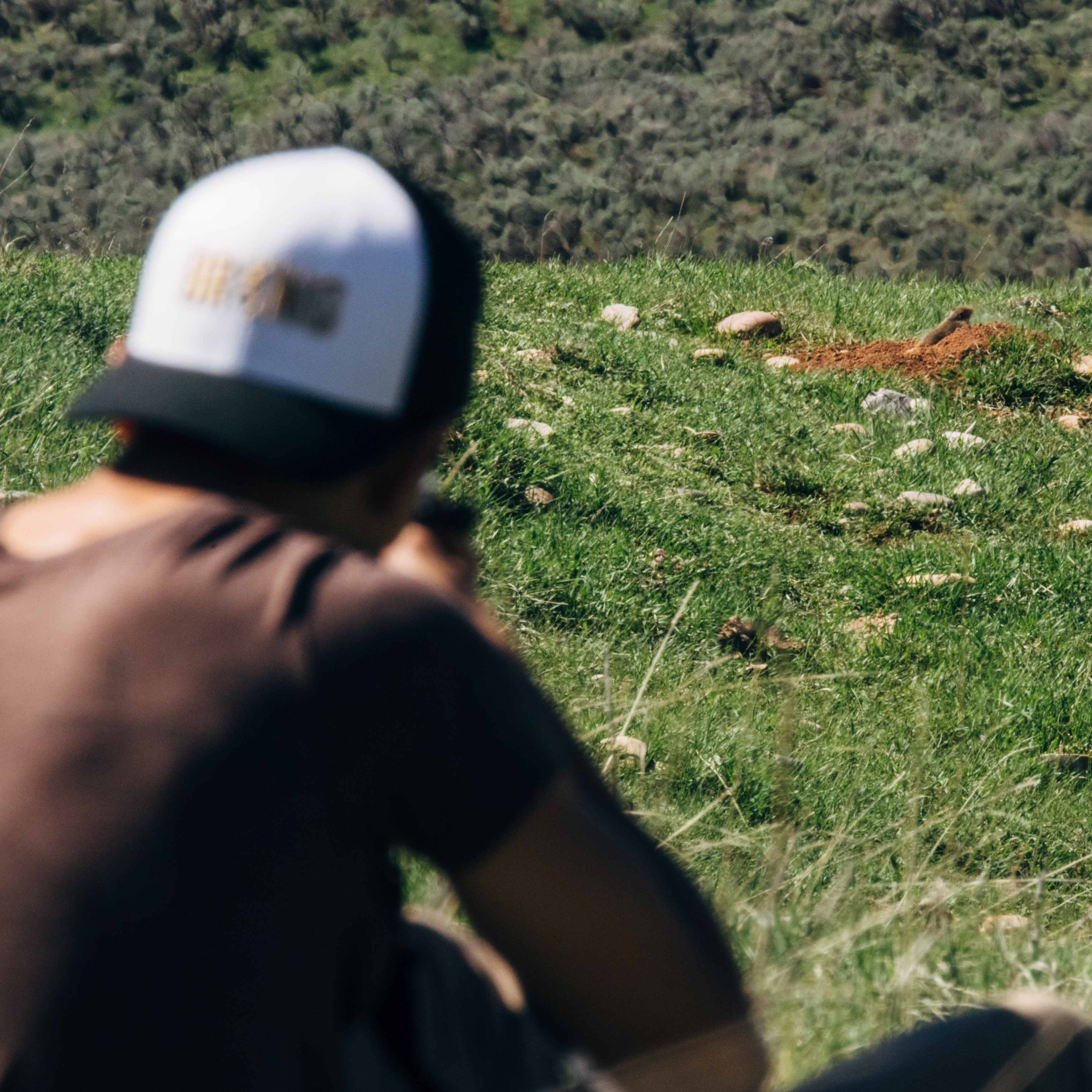 Buck Mark Rimfire Rifles - Discontinued - Browning