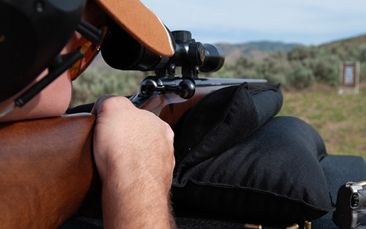 T-Bolt - Rimfire Bolt-Action Rifles - Browning