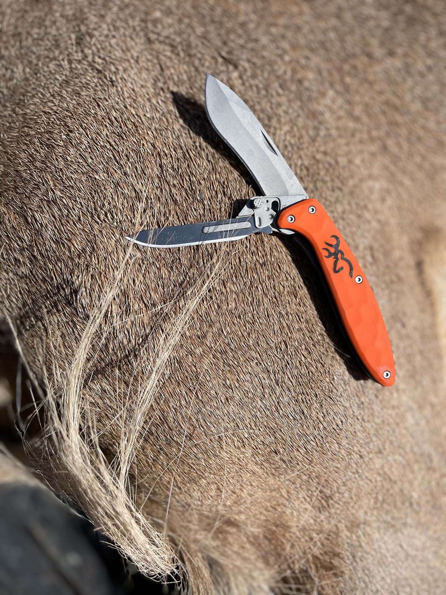 Primal Scalpel 2 Blade - Hunting Knife - Browning
