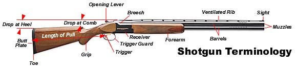 How Do You Determine The Proper Fit Of Your Shotgun Stock 