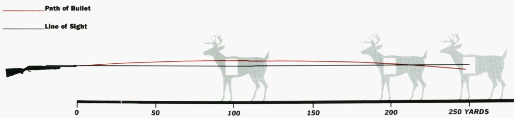 Browning BAR (Pre-1993 Models) Rifle Owner's Manual