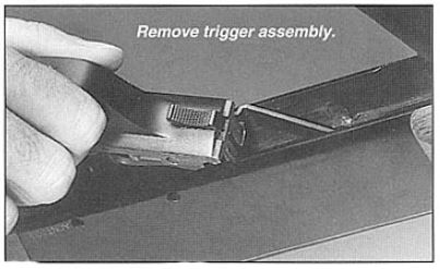 BPR Pump Rifle Owner's Manual